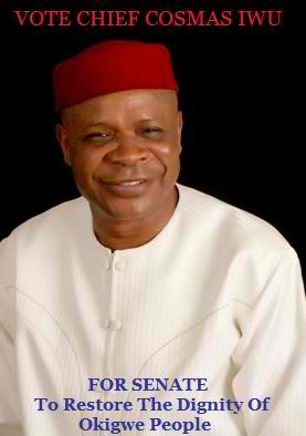 Chief Cosmas Iwu: Battling the Law of Karma – IMO STATE BLOG